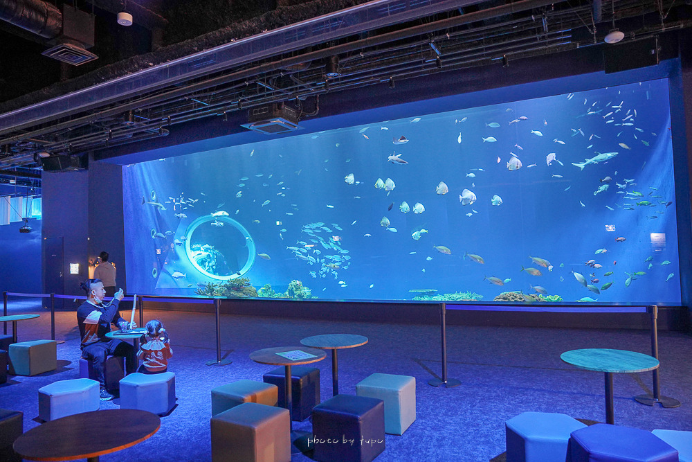 沖繩水族館【DMM Kariyushi水族館】摸魚看魚,可愛小動物園,大眾運輸,門票票價總整理 @小腹婆大世界